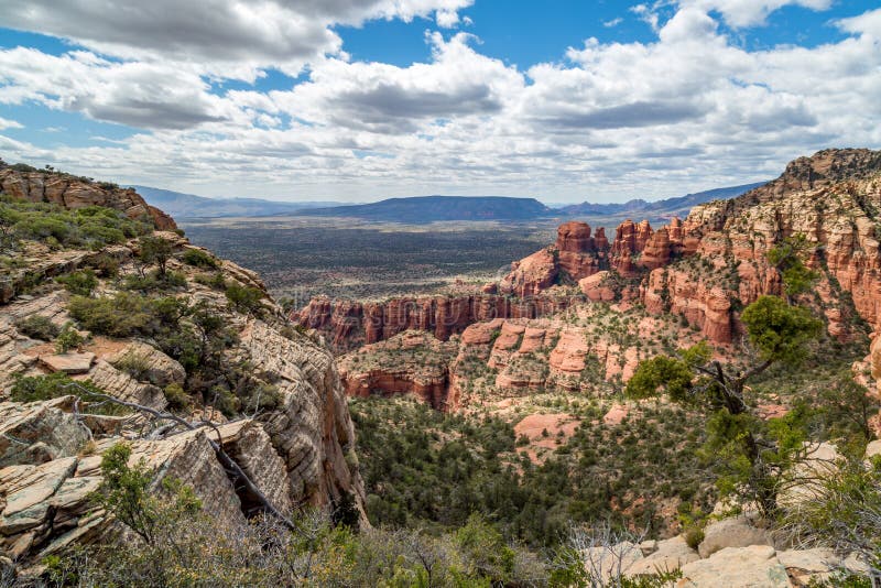 Bear Mountain-Spur Sedona Arizona Stockfoto - Bild von blumen, betriebe ...