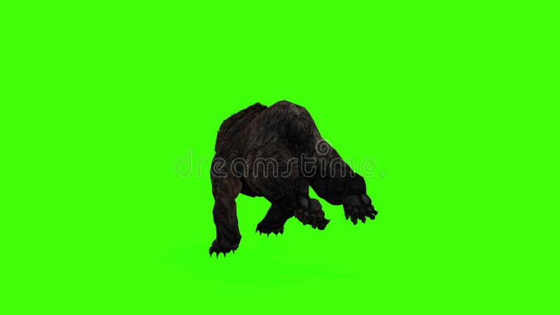 4k Bear Realistic Running with a Walk Cycle Side View Entering the ...