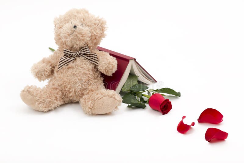 Bear Red Rose and One Good Book To Read on White Stock Photo - Image of ...