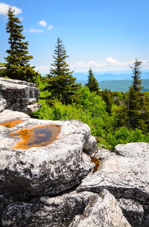 Bear Rocks Preserve stock image. Image of allegheny, forest - 65041211