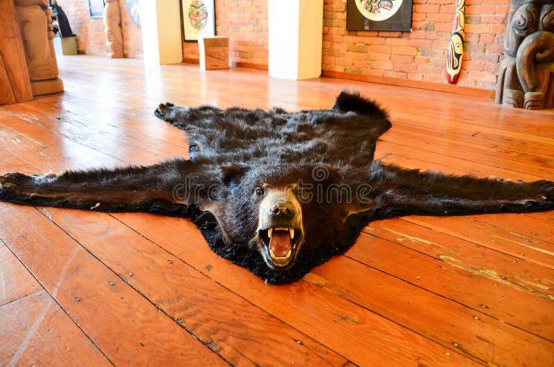 Bear Skin Rug. stock photo. Image of wildlife, mammal - 33077484