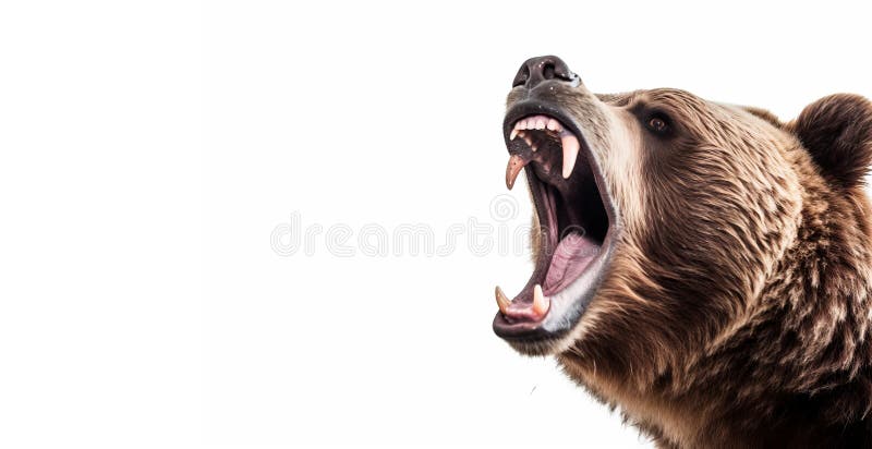 Bear Screaming Face Banner. Generate Ai Stock Illustration ...