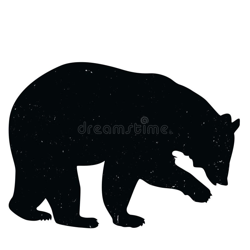Bear Shadow Animal Icon Silhouettes Isolated on Dark Black Graphical in ...