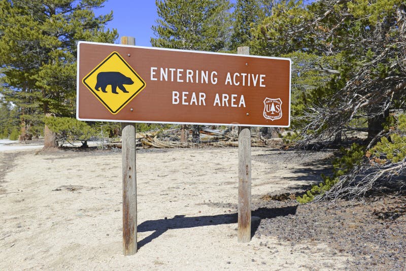 Bear Sign on the Road in National Park Stock Photo - Image of aware ...