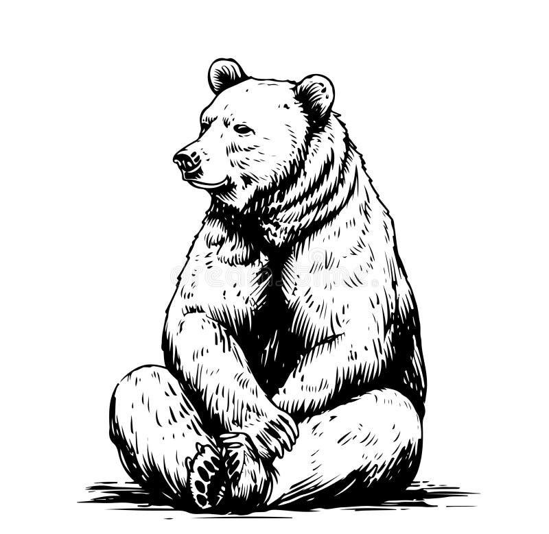 The Bear is Sitting in Pencil Stock Vector - Illustration of nature ...