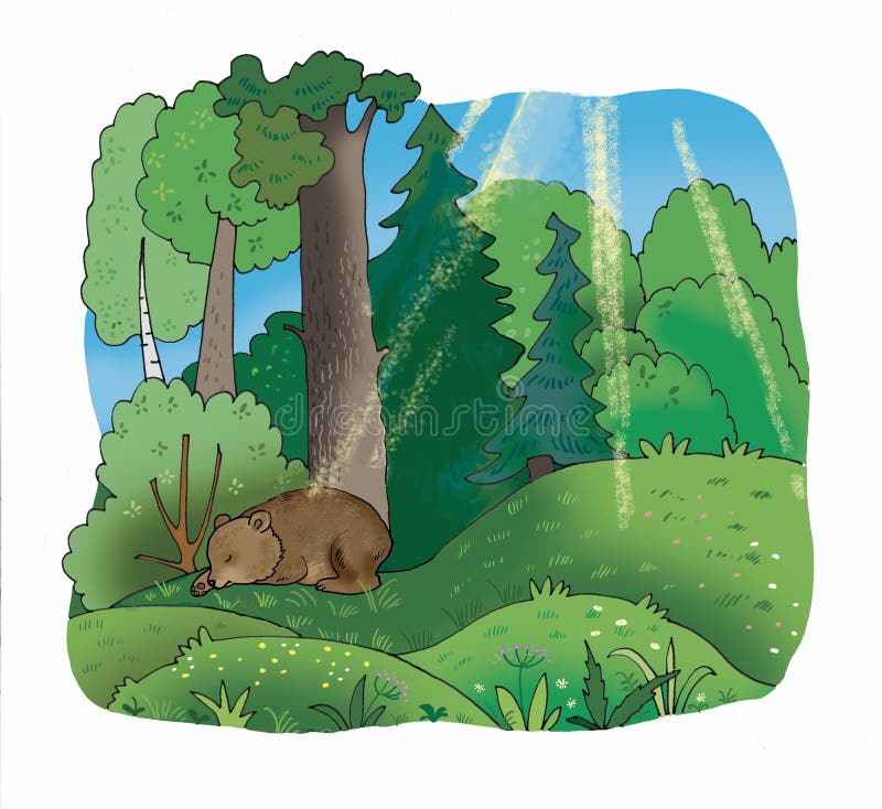 Bear Sleeping in the Forest, Cartoon Illustration Stock Illustration ...