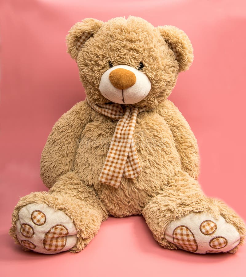 Bear soft toy, isolated stock photo. Image of wallpaper - 81881994