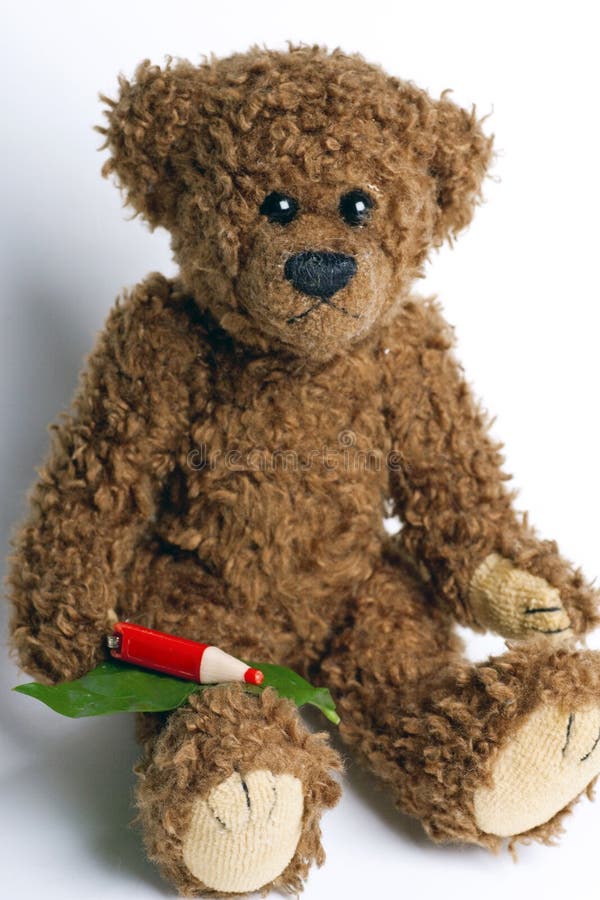 Bear Teddy with a Pen and Paper. Stock Photo - Image of childhood ...