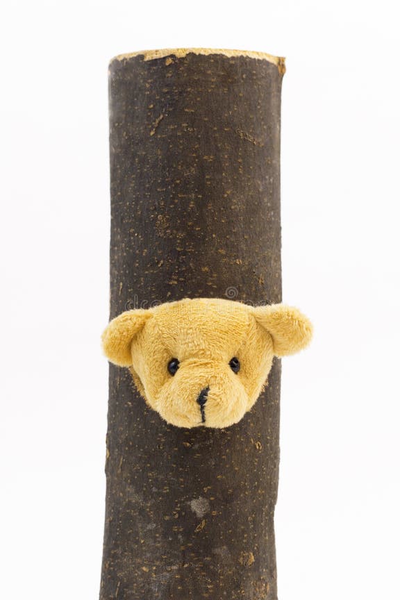 Bear toy stock photo. Image of happy, brown, handwork - 36010058