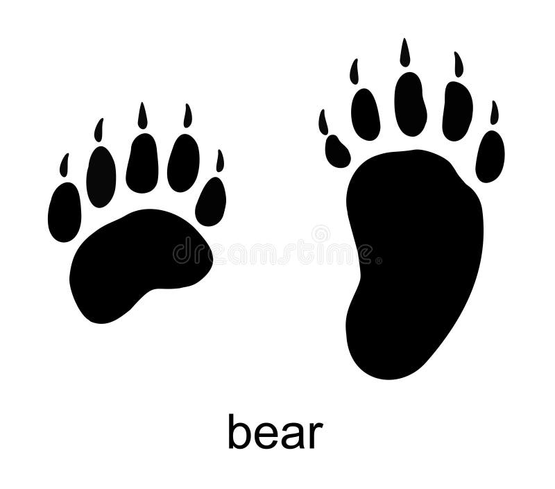 Bear Track, Bear Footprint. Ink, Silhouette Vector Illustration ...