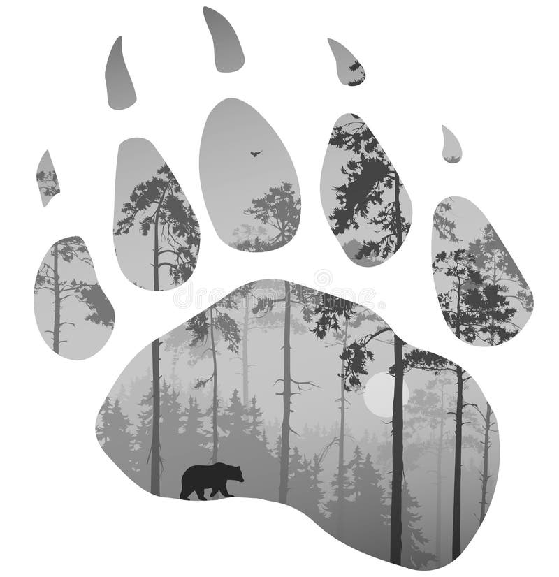 Bear trail stock vector. Illustration of beast, wild - 79424249