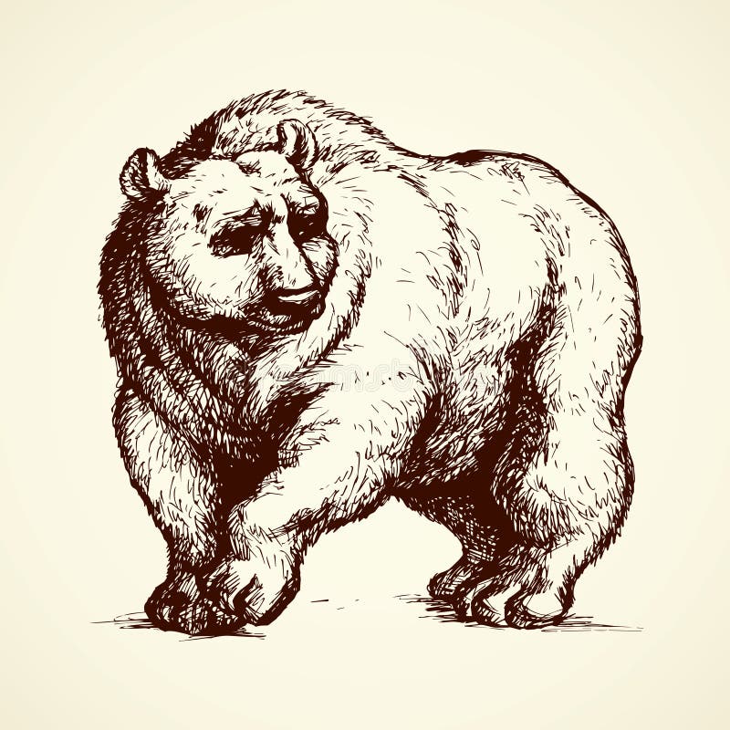Ferocious Bear Stock Illustrations – 515 Ferocious Bear Stock ...