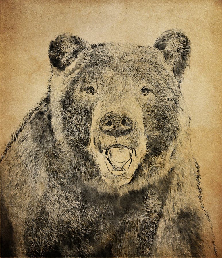 Bear on Vintage Background. Illustration in Draw, Sketch Style Stock ...