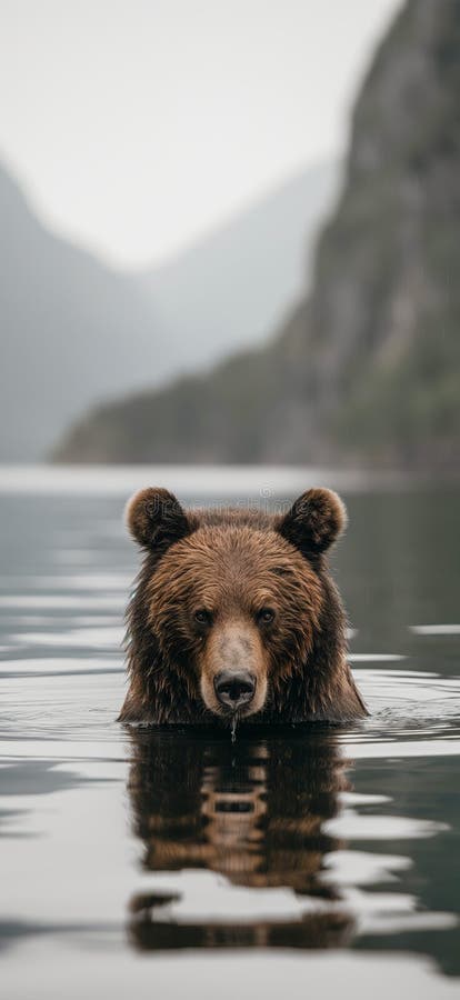 Bear Wallpaper. Bear Poster Stock Illustration - Illustration of poster ...