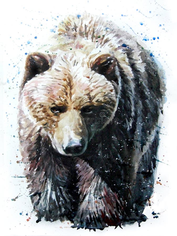 Bear Watercolor Predator Animals Stock Illustrations – 618 Bear ...