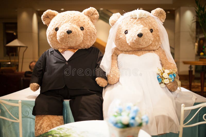 Bear wedding stock image. Image of beverage, green, happiness - 56528575