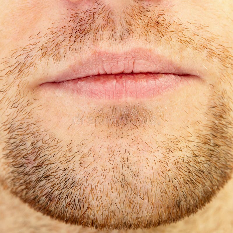 Beard and lips stock photo. Image of detail, sparse, beard - 13100910