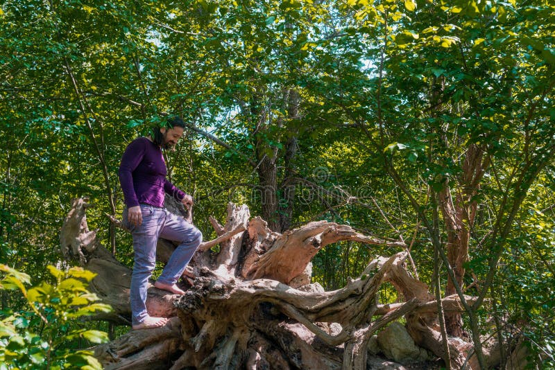 Bearded Caucasian Man Climbing on a Tree Stock Photo - Image of branch ...