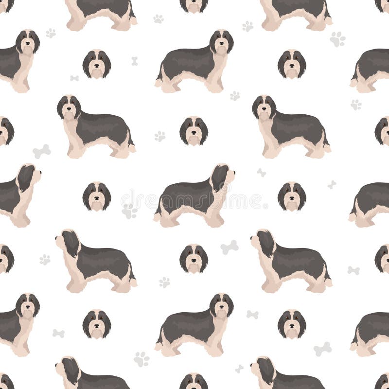 Bearded Collie Dog Seamless Pattern Stock Illustrations – 2 Bearded Collie Dog Seamless Pattern ...