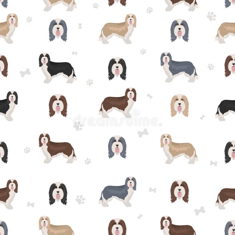 Bearded Collie Seamless Pattern. Different Coat Colors and Poses Set ...