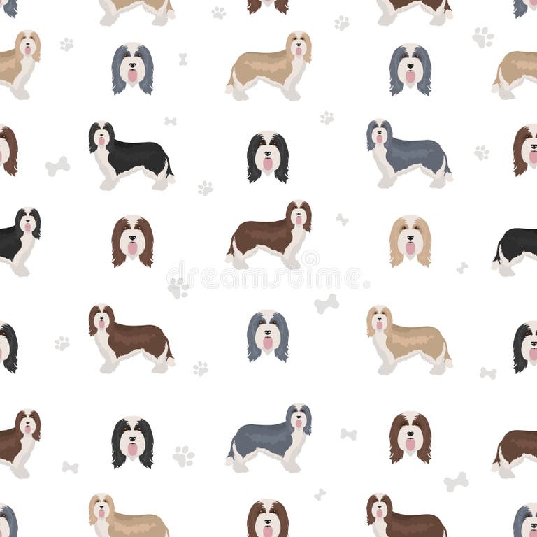 Bearded Collie Seamless Pattern. Different Coat Colors and Poses Set ...