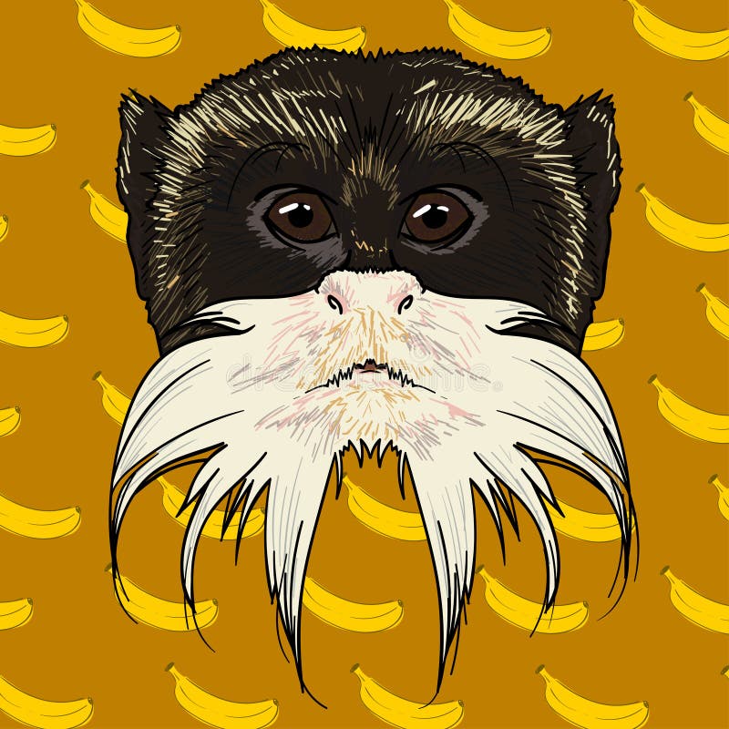 The Bearded Face of a Monkey Isolated Stock Illustration - Illustration ...