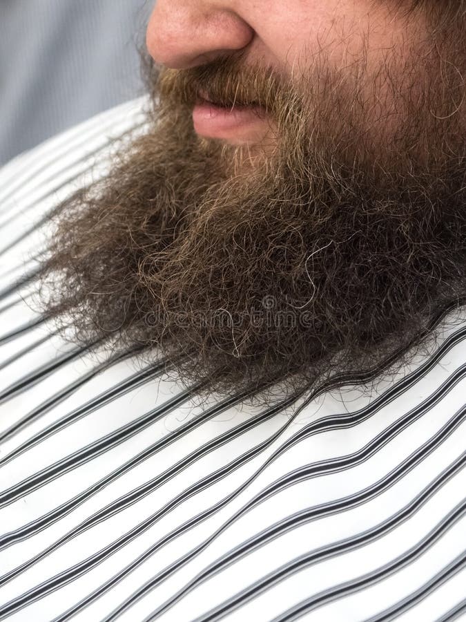 Bearded Man Close Up of Gray Background. Big Bearded Man. Stock Image ...