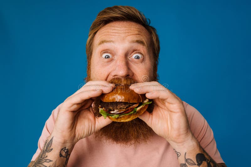 Bearded Man Eating Burger while Standing Isolated Over Blue Background ...
