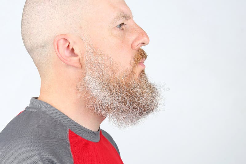 Bearded Man on a White Background Stock Photo - Image of handsome ...