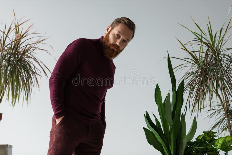 Bearded Man Standing with Hands in Stock Photo - Image of grey, fresh ...