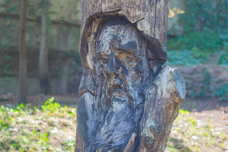 A Bearded Mans Profile on a Tree-like Structure, Depicting Aged Texture ...