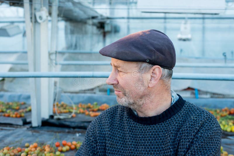Bearded Old Man in Flat Cap Looking Away Stock Photo - Image of garden ...