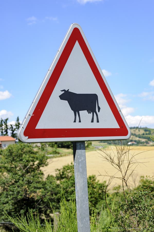 Beware of the Cows Sign, Cortina D`Ampezzo, Italy Stock Photo - Image ...