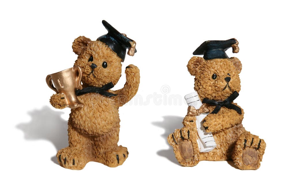 Bears stock photo. Image of doctorate, graduate, trophy - 906426