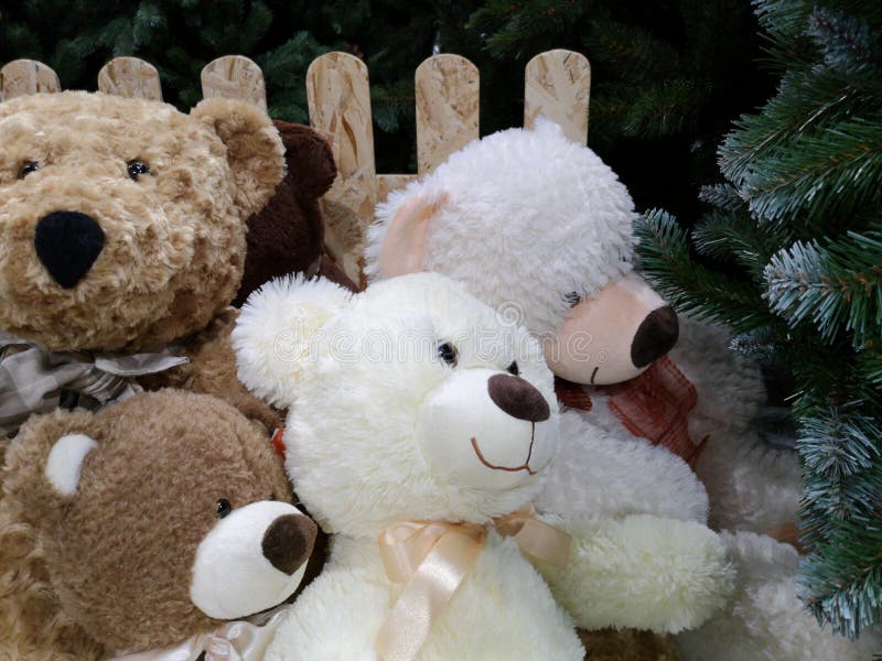 Bears for christmas stock photo. Image of christmas - 134694134