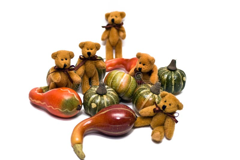 Bears and Gourds stock image. Image of teddies, gathering - 6375935