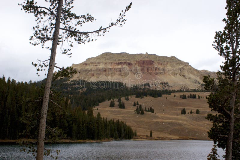 Beartooth Butte 705136 stock image. Image of forest - 193067861