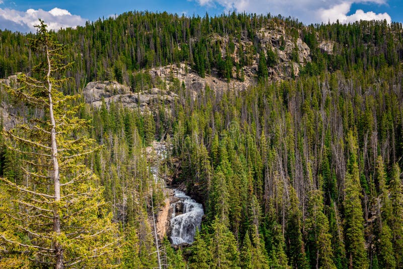 Beartooth Falls in the Forest, Beartooth Highway, Wyoming Stock Image ...