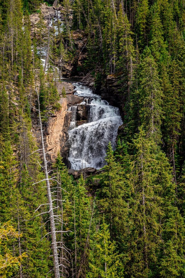 Beartooth Falls in the Forest, Beartooth Highway, Wyoming Stock Image ...