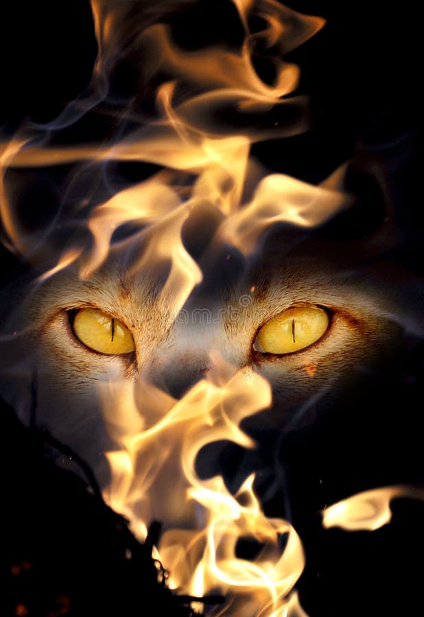 Beast eyes stock photo. Image of beast, eyes, flames - 10034620