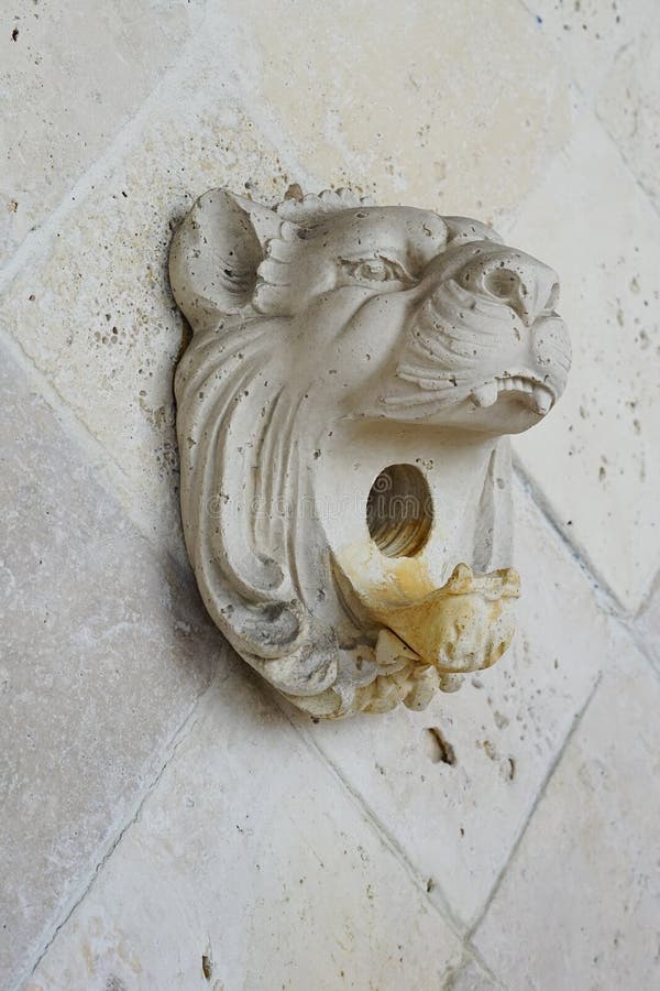 Beast head faucet stock image. Image of equipment, features - 42476497