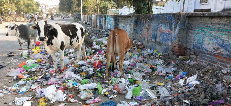 Beat Plastic Pollution . Plastic Pollution in India Editorial ...