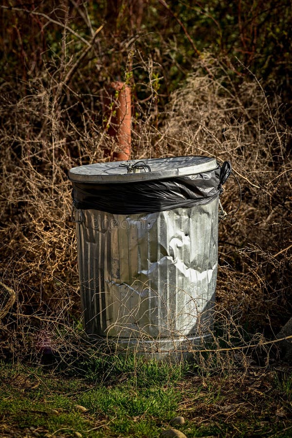 Beat-up Old Galvanized Trashcan in a State Park Stock Photo - Image of ...