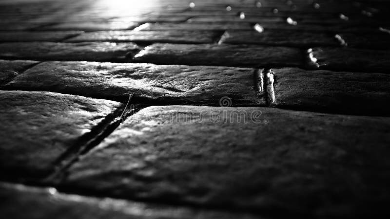 Beaten Path stock photo. Image of texture, path, beaten - 74602388