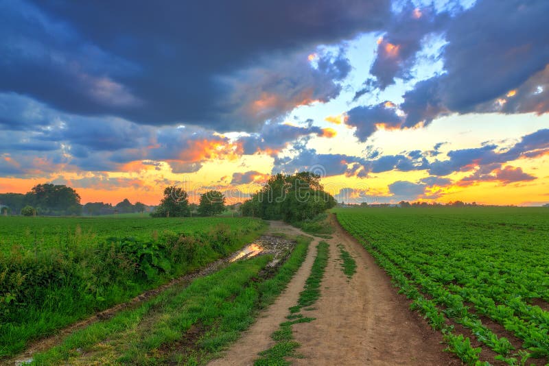 431 Beaten Path Field Stock Photos - Free & Royalty-Free Stock Photos ...