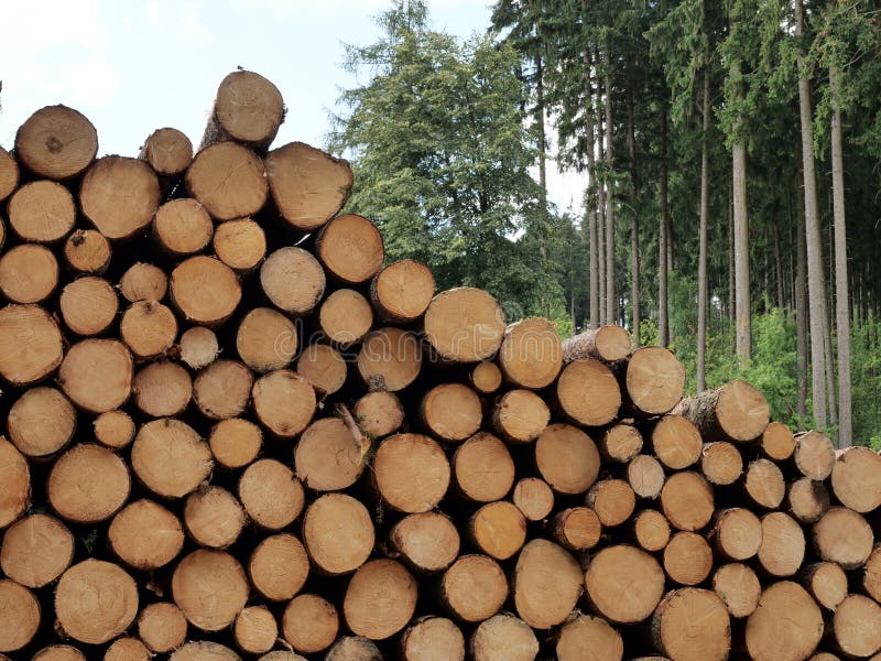 Stratified wood stock photo. Image of panel, parquet - 180153810