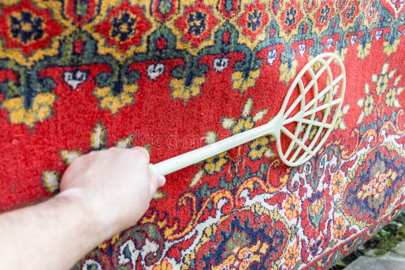 Beater Knocks Dust Out of Old Red Asian Carpet Stock Photo - Image of ...