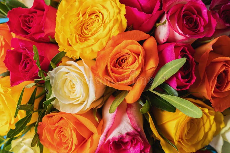 Beatiful Bouquet of Roses Flowers Background, Horizontal Stock Photo ...
