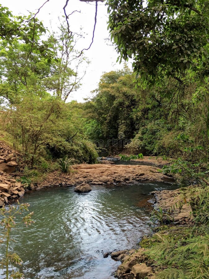 Beatiful and Calm Stream with Trees and Rocks Stock Image - Image of ...