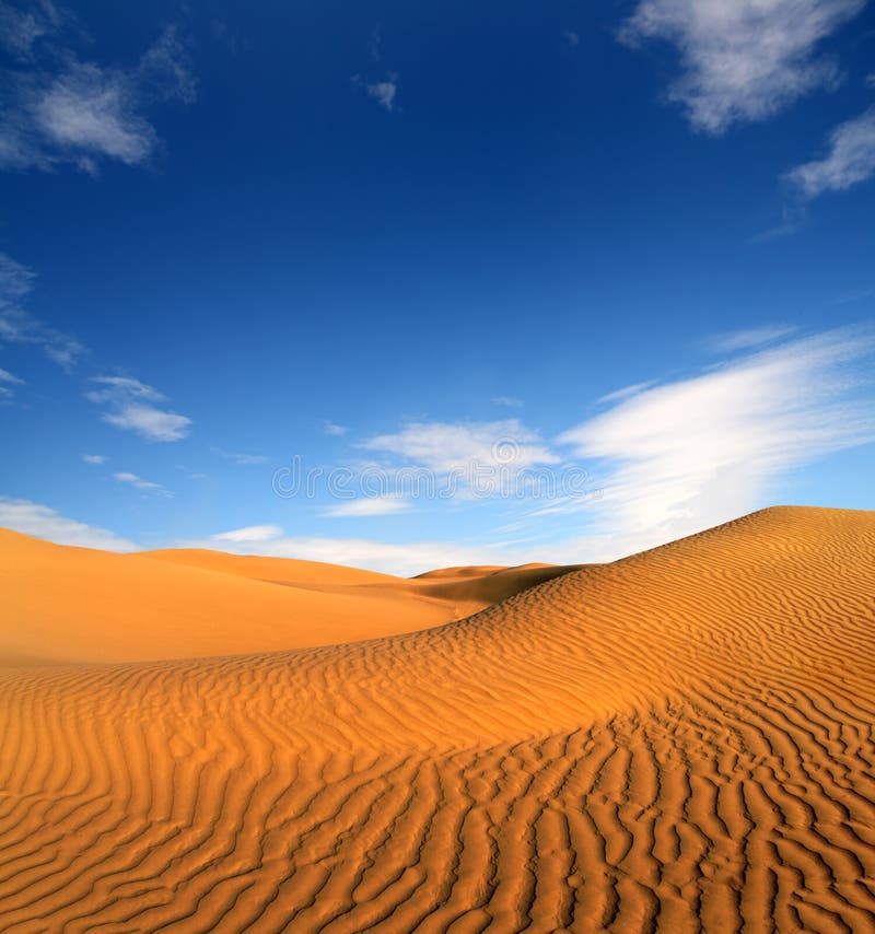 Evening desert landscape stock photo. Image of sand, dune - 29954796